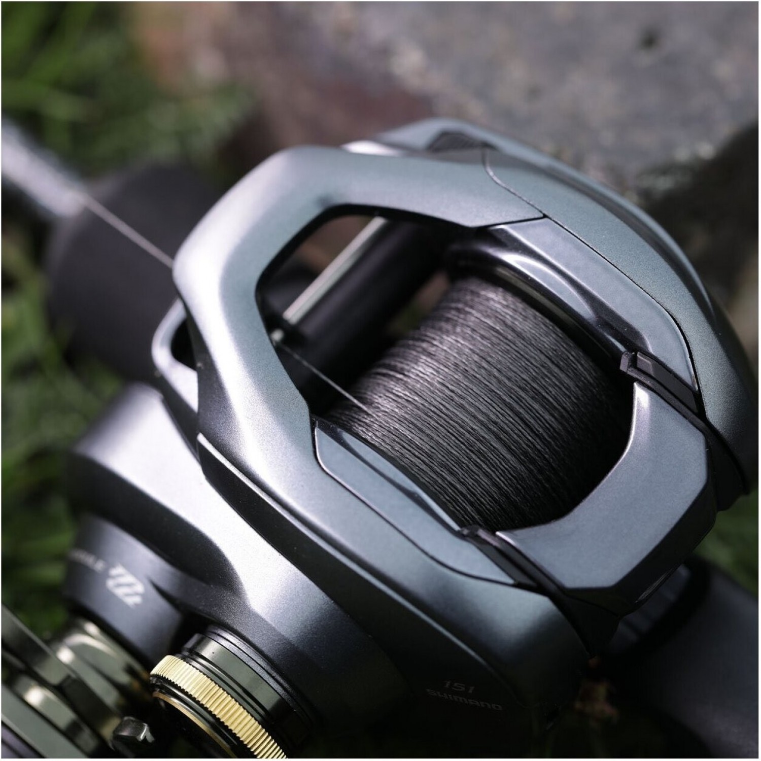 Shimano curado dc store